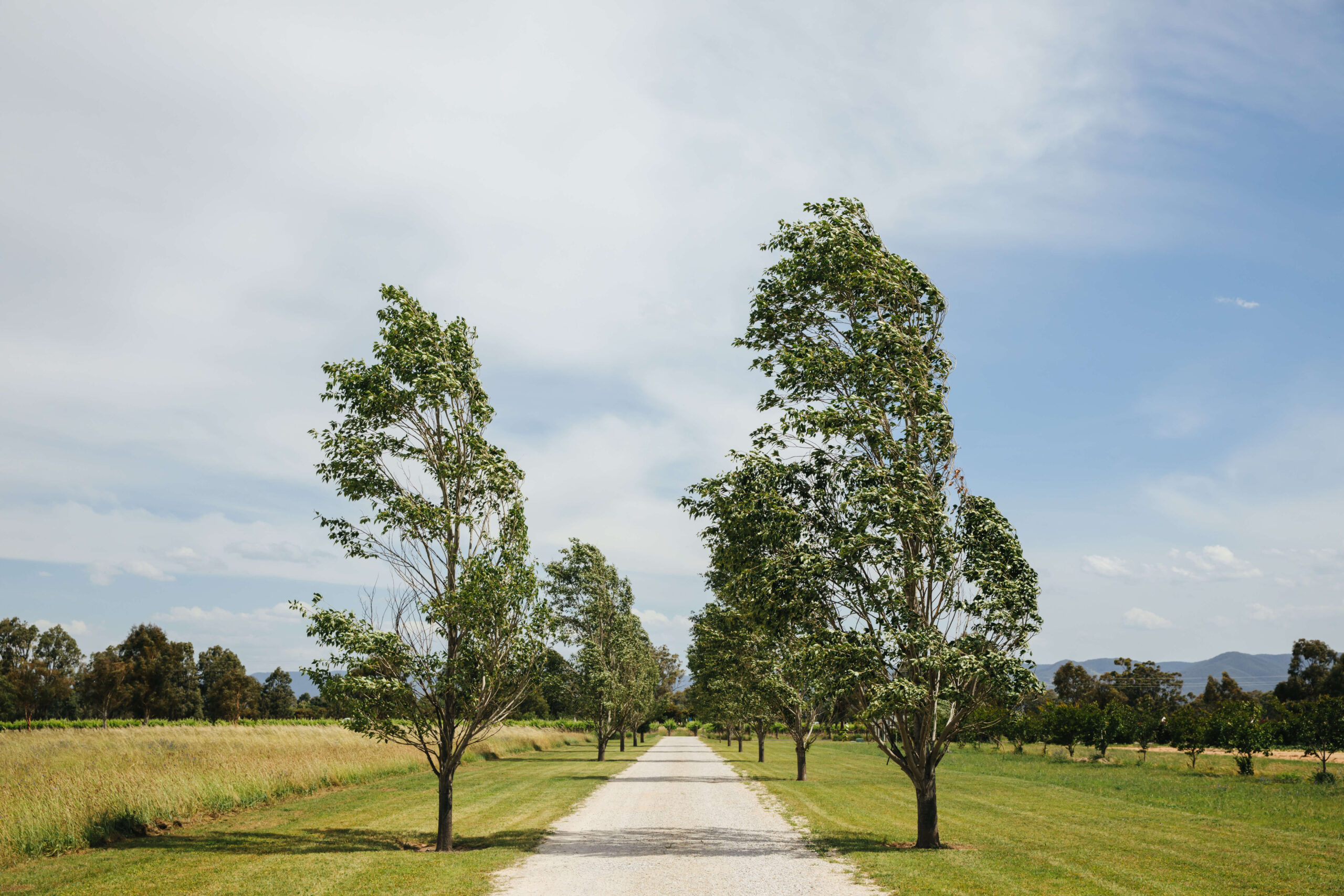 Job Opportunities at Blue Wren Farm, Mudgee NSW