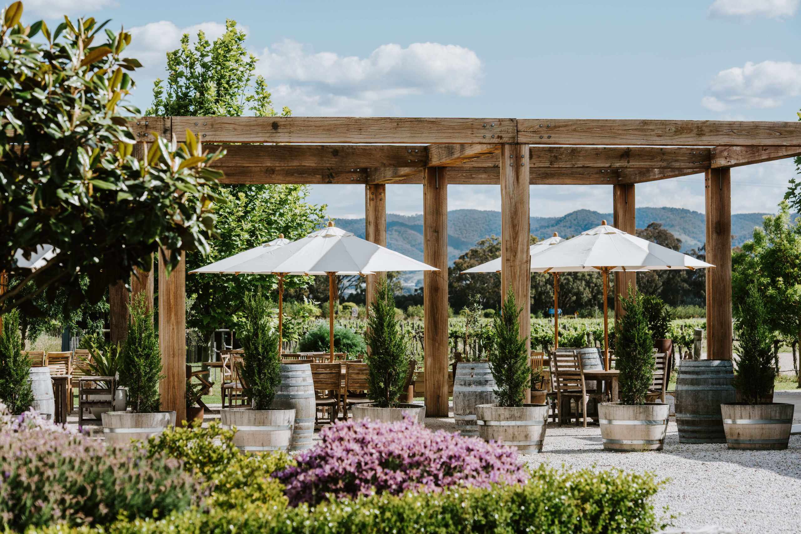 What's On - Events & Live Music At Blue Wren Farm - Blue Wren Farm