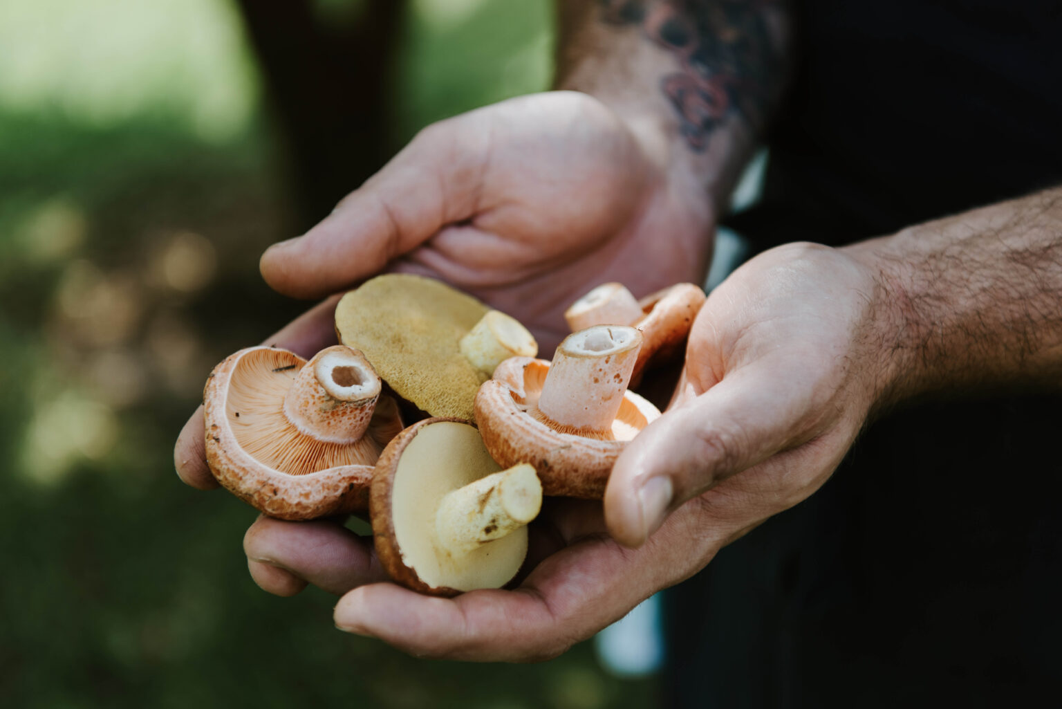 The Barn - Blue Wren Farm