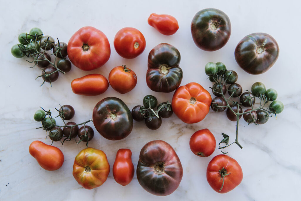 The Barn - Blue Wren Farm